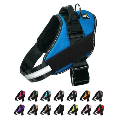 Rei Dog Harness – The 15 best products compared - Wild Explained