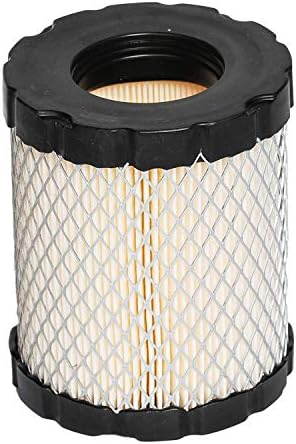 Amazon.com: Annolai 798897 592496 Air Filter for BS 794935 653412 4250 ...