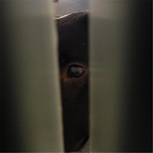 Amazon Music - RydragonのNativity Sound Poetry - Amazon.co.jp