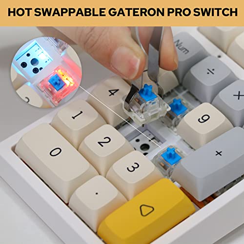 EPOMAKER TH21 21 Keys Hot Swappable Wired Numpad with RGB Backlight ...