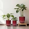 Amazon.com : SUNPOTFOR Ceramic Pots for Plants - 12 Inch Plant Pot ...