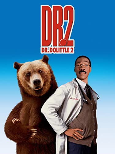 Top 10 Must-Have Products Recommended by Dr. Pail: Your Ultimate Buying ...