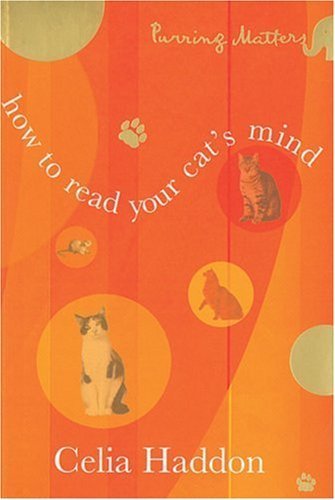 How to Read Your Cat's Mind: Haddon, Celia: 9781904435068: Amazon.com ...