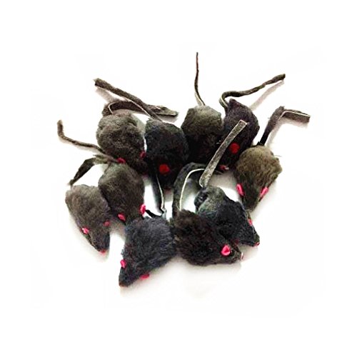 Amazon.com.au Best Sellers: The most popular items in Mice & Animal ...