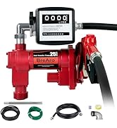 Amazon.com: Fuel Transfer Pump 12 Volt 20 GPM High Flow DC Fuel Pump w ...