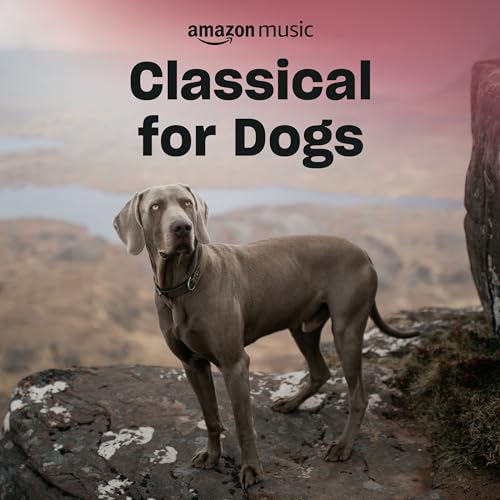 Classical for Dogs Playlist on Amazon Music Unlimited