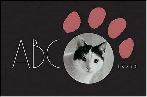 ABC Cat: Kienzle, Lorenz: 9781584793854: Amazon.com: Books