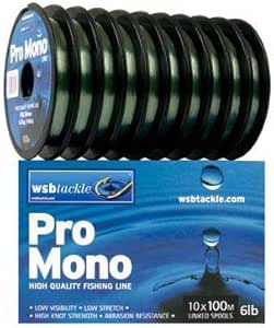 Pro Mono WSB, Fishing Line (Green, 6lb Breaking Strain-0.22 dia ...