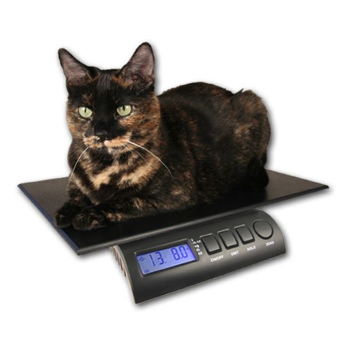 Amazon.com: ZIEIS | 70 Lb. Capacity | Digital Cat and Dog Scale | Z70P ...