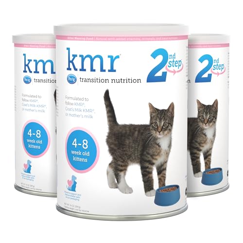 Kitten Formula – The 15 best products compared - Wild Explained