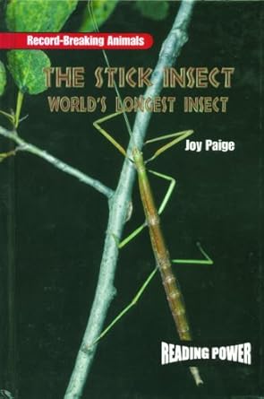 The Stick Insect: World's Longest Insect (Animal Record Breakers ...