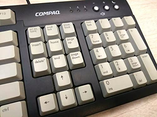 The 25 Best PS/2 Keyboards of 2026 [Verified] - Cherry Picks