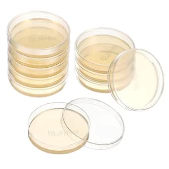 Mobestech 10pcs Nutrient Agar Plate Laboratory Agar Plate Educational ...