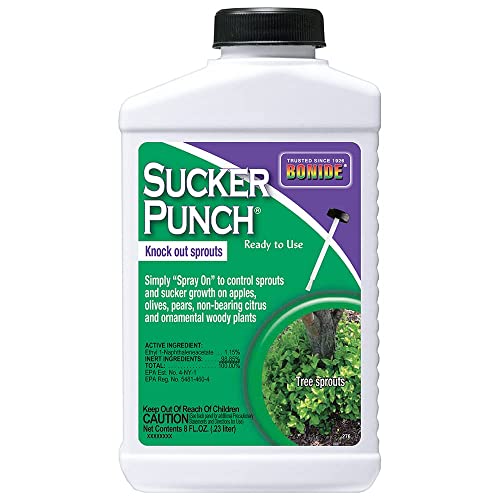 Bonide Chemical 276 Sucker Punch RTU Brush Top, 8-Ounce : Amazon.in