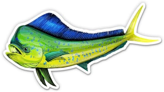 Amazon.com - Mahi Mahi Fish - 12" Vinyl Sticker Waterproof Decal
