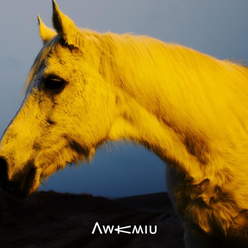 Amazon.co.jp: 楽園はいらない : Awkmiu: デジタルミュージック