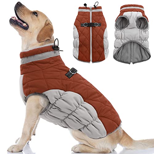 5 Best Dog Coats For Large Breeds - Keeping Your Canine Warm