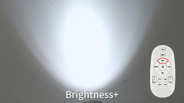 Watch LED Stepless Dimming Adjustment Remote Control Spotlight on ...