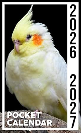 Amazon.com: Pocket Calendar 2026-2027: Two-Year Monthly Organizer from ...