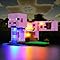 Amazon.com: Bourvill LED Lights Kit for Lego Minecraft The Rabbit Ranch ...