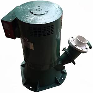 Amazon.com : Carry Supply hydro generator 220v 10kw hydro generator ...