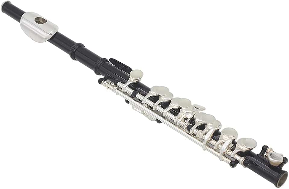 Amazon.co.uk: Piccolos - Piccolos / Woodwind: Musical Instruments & DJ