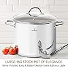Amazon.com: HOMICHEF 16 Quart LARGE Stock Pot with Glass Lid - NICKEL ...