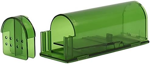 Amazon.com : Harris Humane Mouse Trap, Catch and Release : Patio, Lawn ...