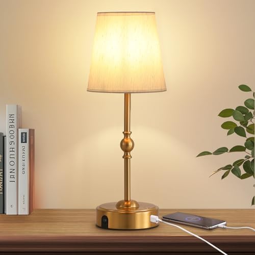 Pinrutar Portable Cordless Table Lamp, USB Rechargeable 6000mAh Battery ...