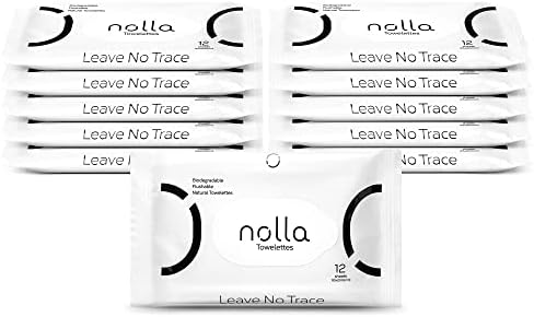 Amazon.com: Flushable Wet Wipes for Travel - Travel Flushable Wipes ...