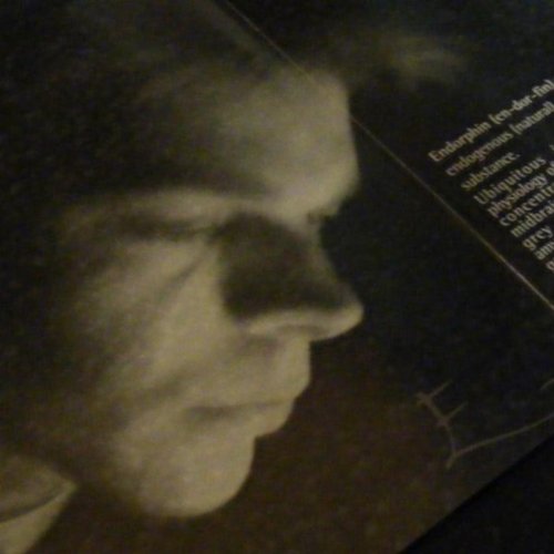 Amazon.com: Lost in Blue : Endorphin: Digital Music