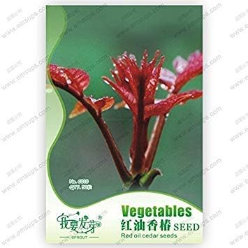 Amazon.com : Cheap! Original packaging Chinese toon seeds edible red ...