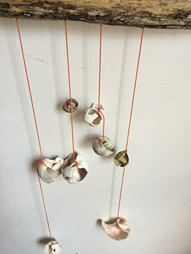Amazon.com: Driftwood and Moon Shell Mobile Wind Chime Surf Tumbled ...