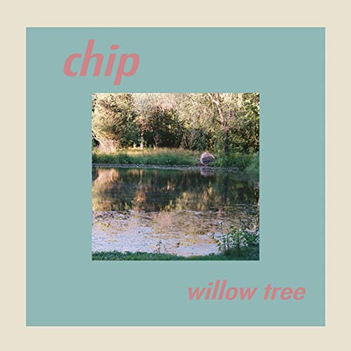 Willow Tree by Chip on Amazon Music - Amazon.co.uk