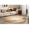 Amazon.com: Restoration and Renovation Modern Round Area Rug – Hand ...