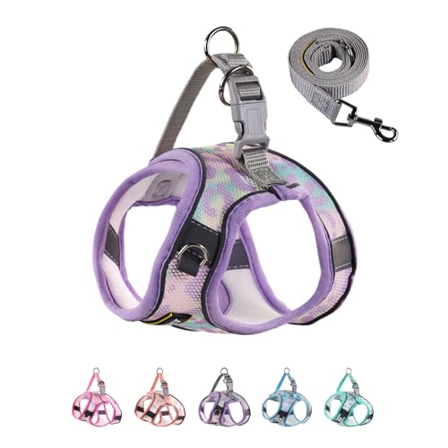 Extra small Dog Harness – The 15 best products compared - Wild Explained