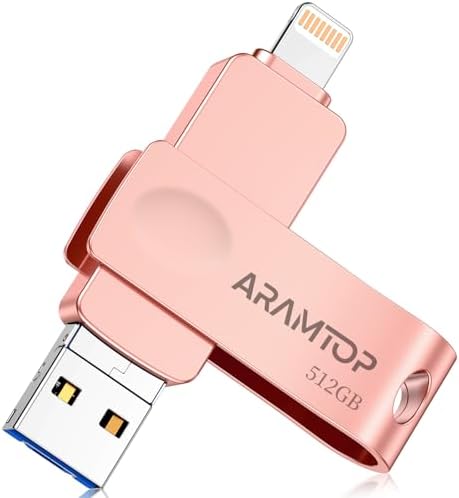 Amazon.com: Photo Stick Memory Stick 512GB, Phone Flash Drive USB C ...