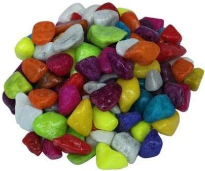 Decorative Multi Color Stones 475 Grams 4 : Amazon.in: Pet Supplies