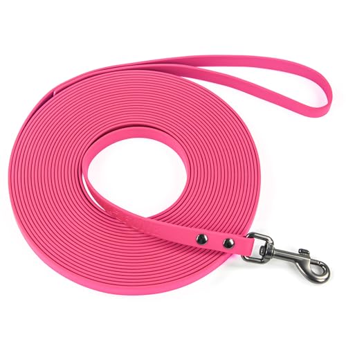 Dog Long Line – The 15 best products compared - Wild Explained