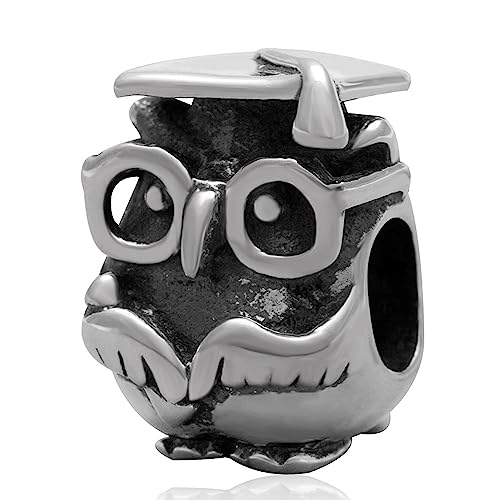 Find The Best Pandora Graduation Owl Charm Reviews & Comparison - Katynel