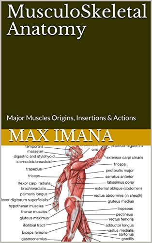 MusculoSkeletal Anatomy: Major Muscles Origins, Insertions & Actions ...