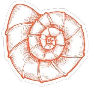 Amazon.com: Orange Hand Drawn Nautilus - Pack of 4 - StickerVinyl ...
