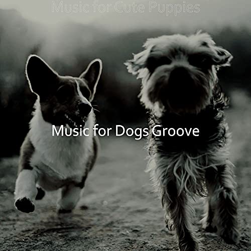 Music for Cute Puppies de Music for Dogs Groove en Amazon Music Unlimited