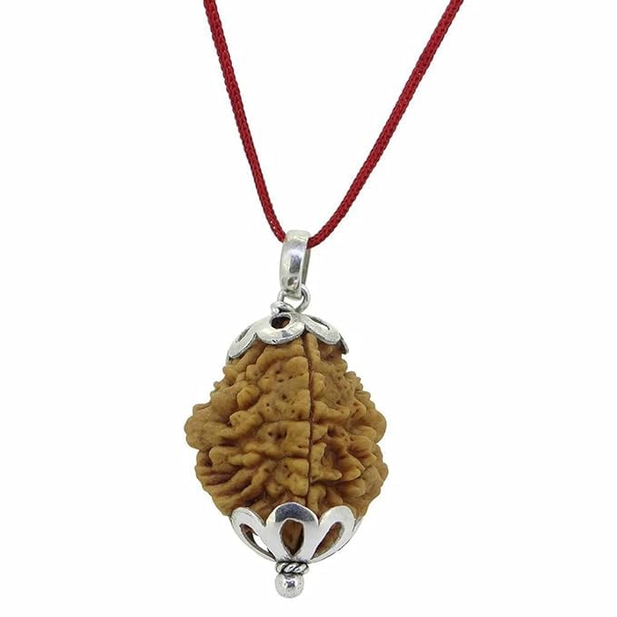 2 Mukhi Rudraksha, Two Mukhi Kaju Rudraksha Certified/Original, Two ...