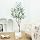 6FT Artificial Olive Tree – Realistic Faux Olive Tree with Fruits and ...