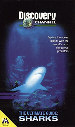 Amazon.com: Discovery Channel: The Ultimate Guide - Sharks [VHS ...