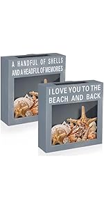 Amazon.com: Juexica 2 Pcs Seashell Holder Seashell Display Box Beach ...