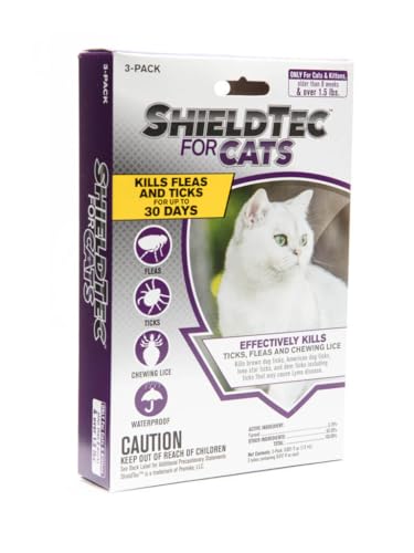 Cat Lice – The 15 best products compared - Wild Explained