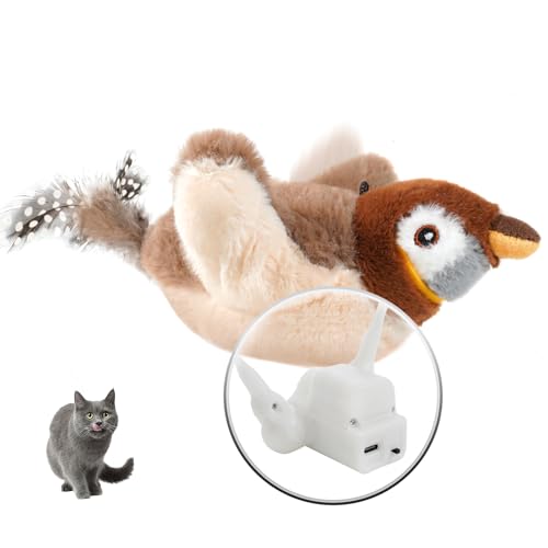 Bird Cat Toy – The 15 best products compared - Wild Explained