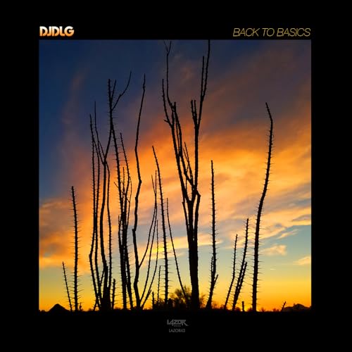 Amazon.com: Back To Basics : DJ DLG: Digital Music